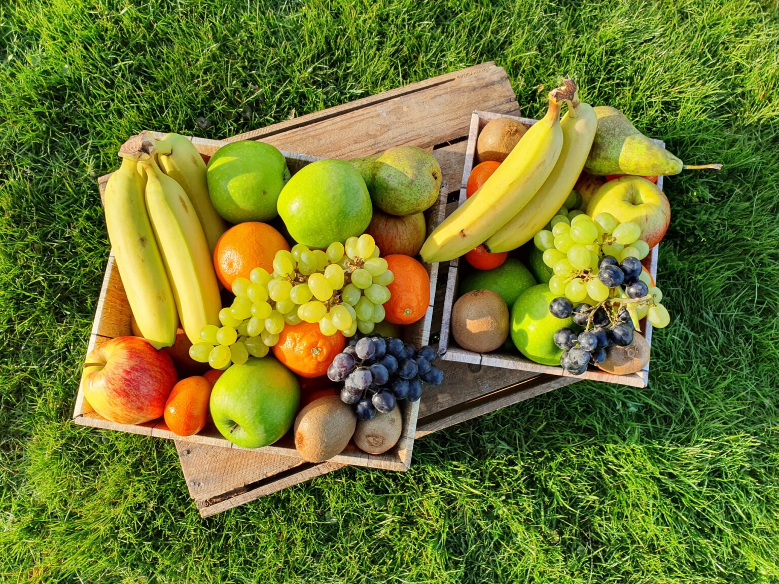 Schoolfruit uit de regio van De Fruitkraam